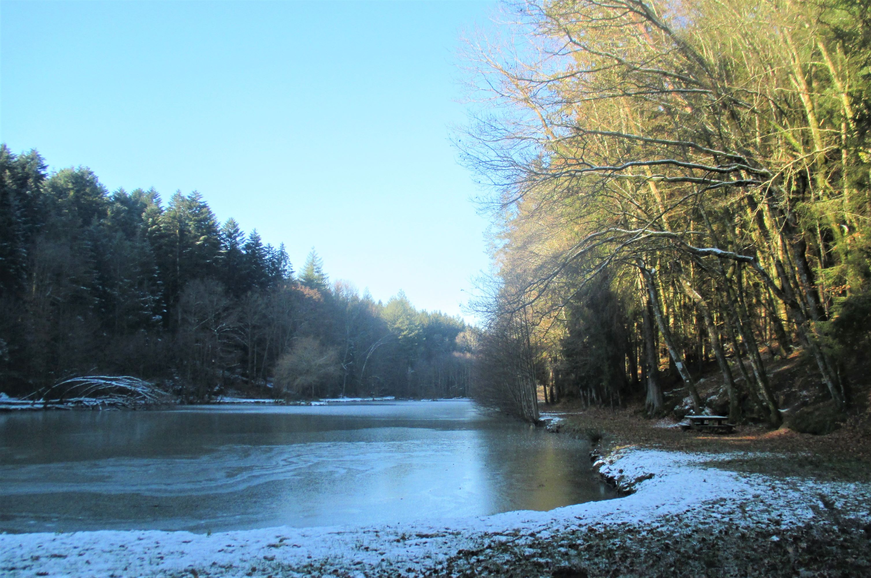 La forêt de Darney – Un jardin en forêt de Darney