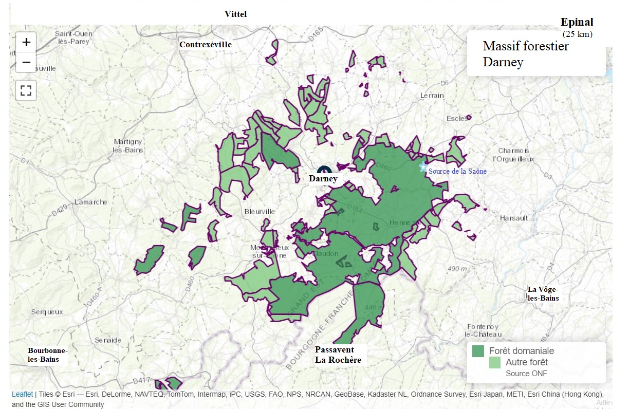 La forêt de Darney – Un jardin en forêt de Darney